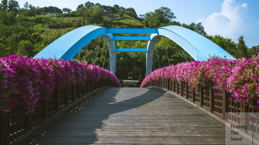 Sightseeing in Seoul: Haneul Park (하늘공원) – Finding the Seoul
